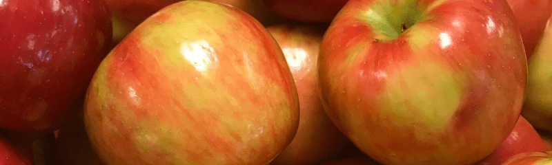 Produce from Miller Plant Farm