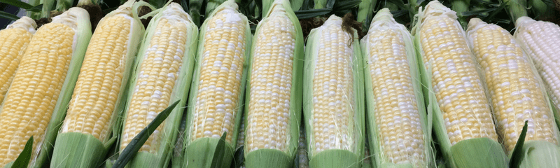 Produce from Miller Plant Farm